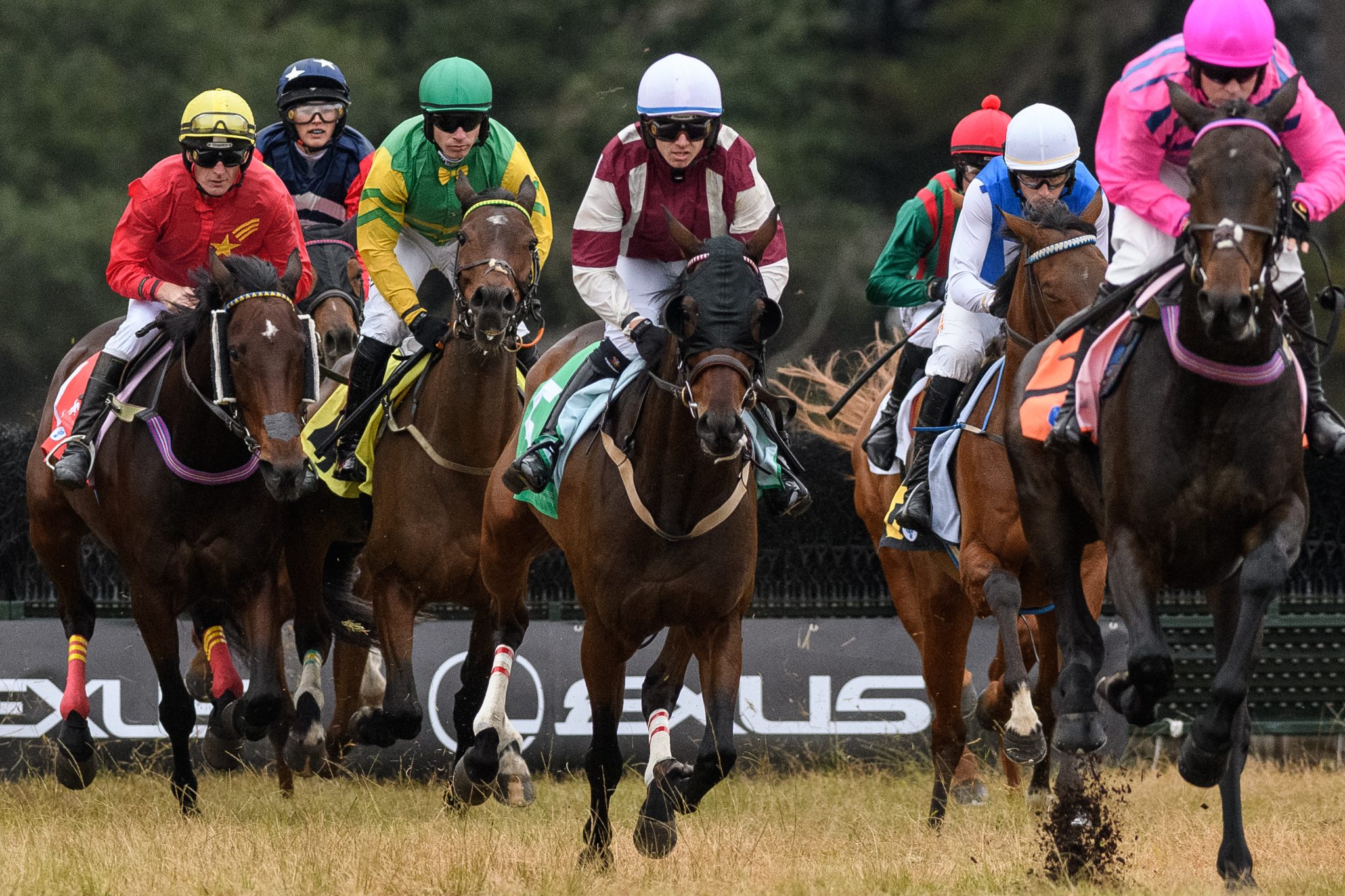 What Makes A Race A Steeplechase? – Steeplechase of Charleston