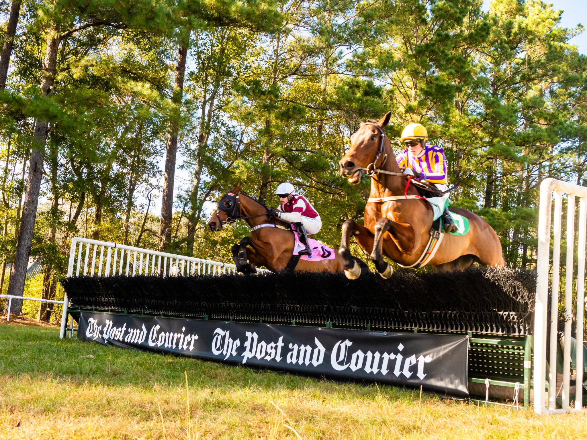 2025 – Page 6 – Steeplechase of Charleston